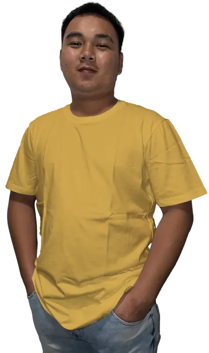 ahaStudio: Low-Code Custom Software & AI Solutions