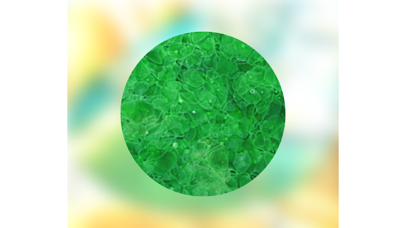 Magna Glaskeramik Green - Worktops, Flooring, Tiles & Walls